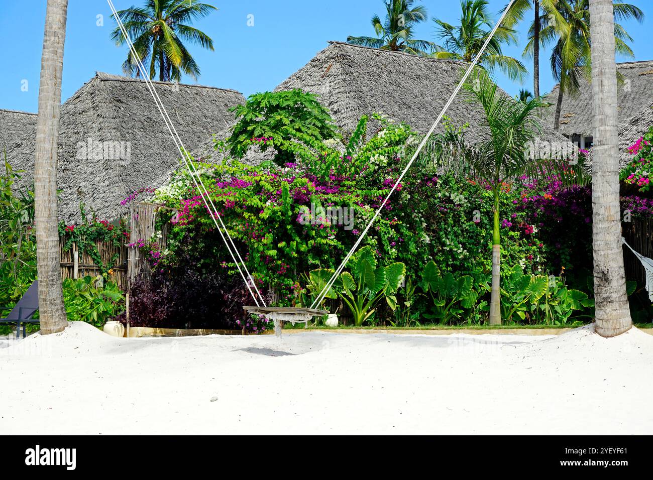 traditional building at the coast of zanzibar island Stock Photo - Alamy