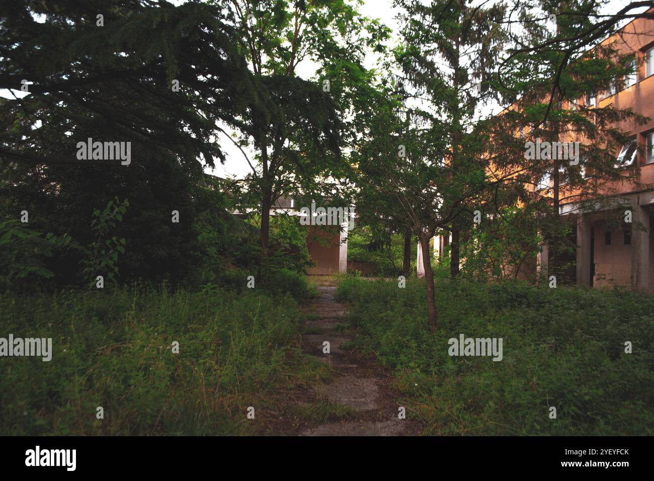 Lost places at Alberoni beach on the island of Lido in the Venice ...