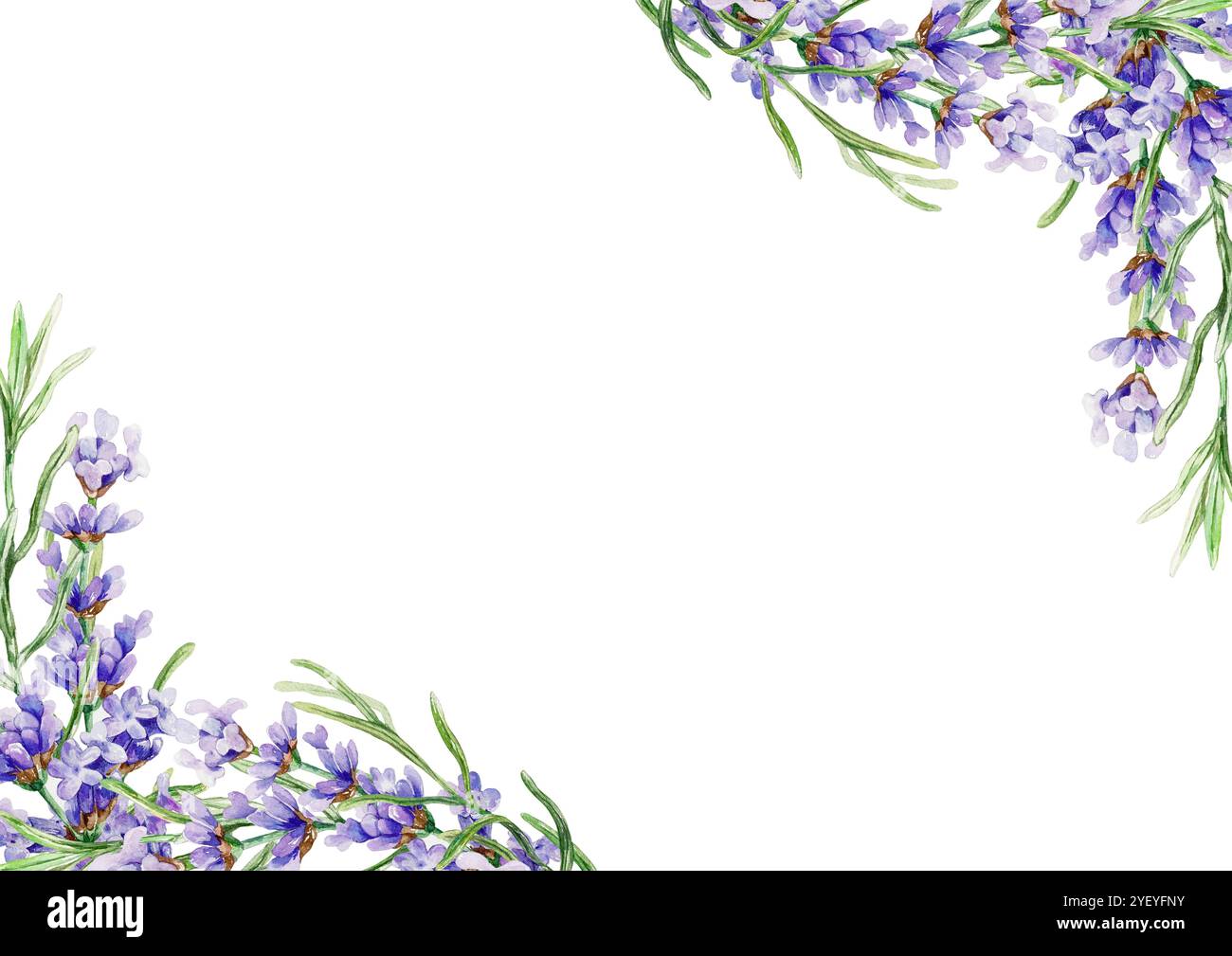 Lavender frame, rectangular with sprigs of flowers in the corner ...