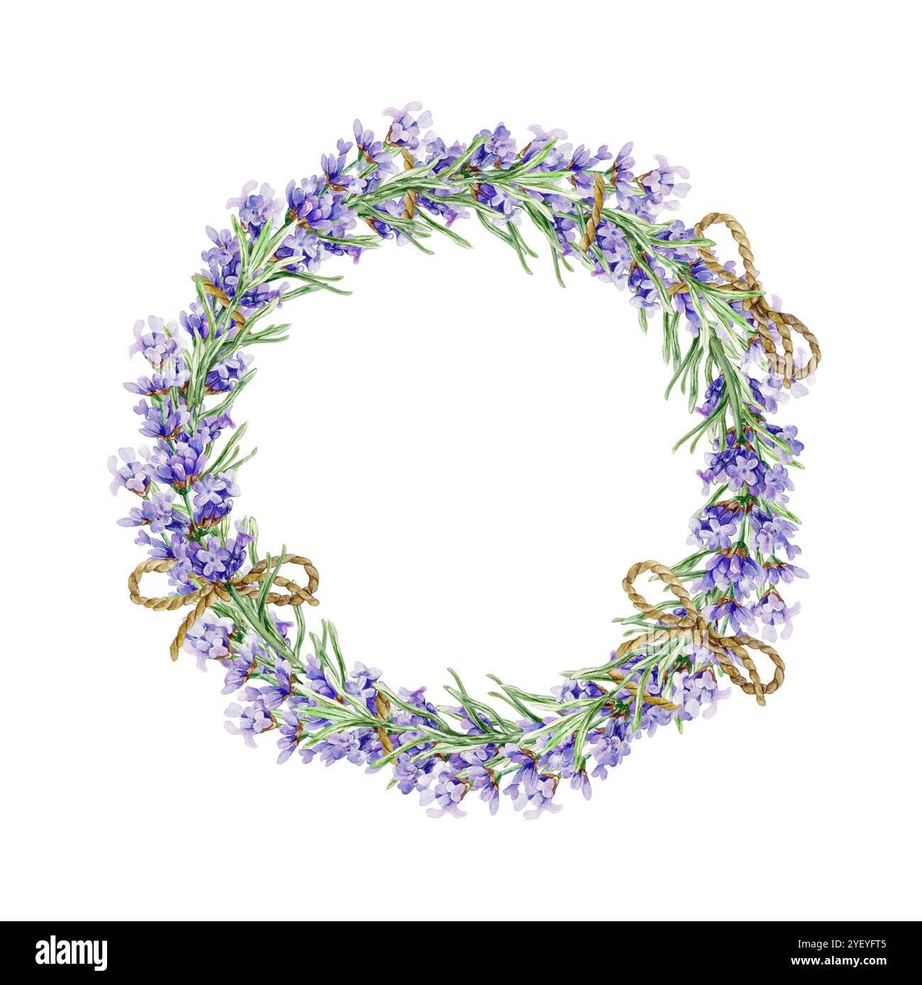 Lavender wreath tied. Round floral frame. Watercolor illustration of ...