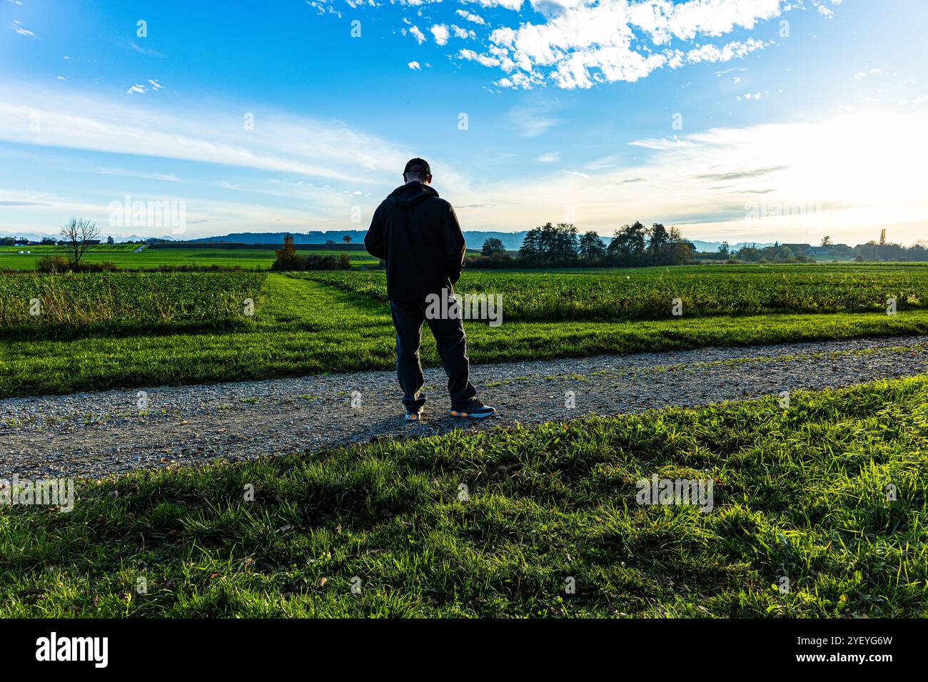 The painting shows a forest entrance in a Swiss forest near Kreuzlingen ...