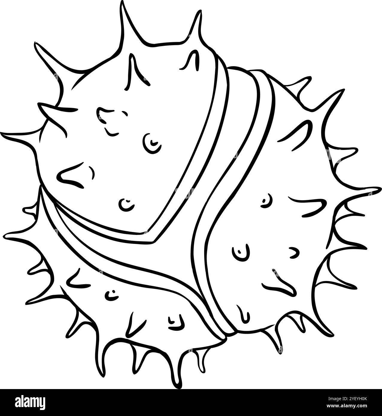 Chestnut Nut Isolated Outline Illustration Stock Vector Image & Art - Alamy