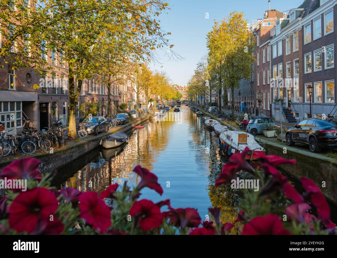 The vibrant hues of autumn envelop Amsterdam canals, where trees burst ...