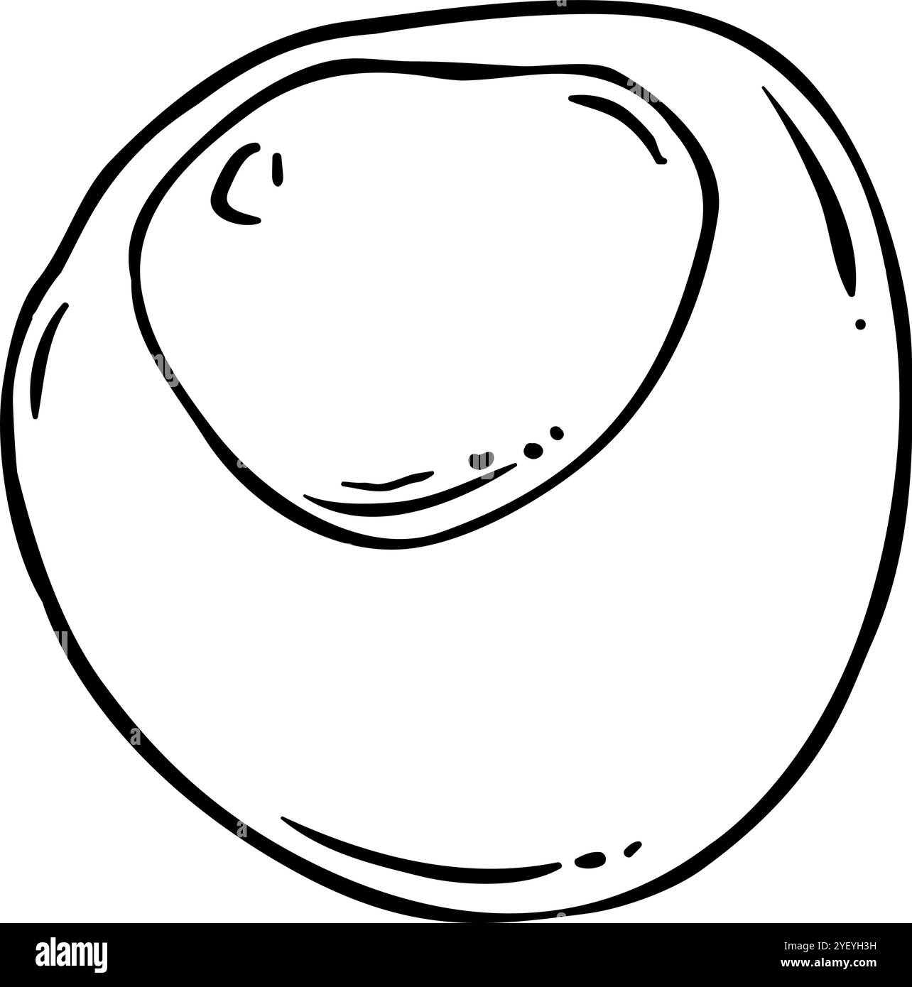 Chestnut Nut Isolated Outline Illustration Stock Vector Image & Art - Alamy