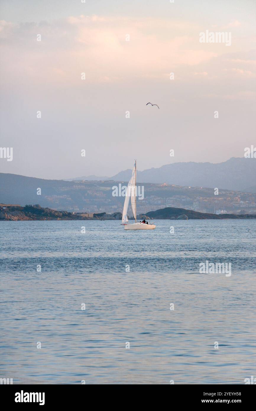Barche boats hi-res stock photography and images - Alamy