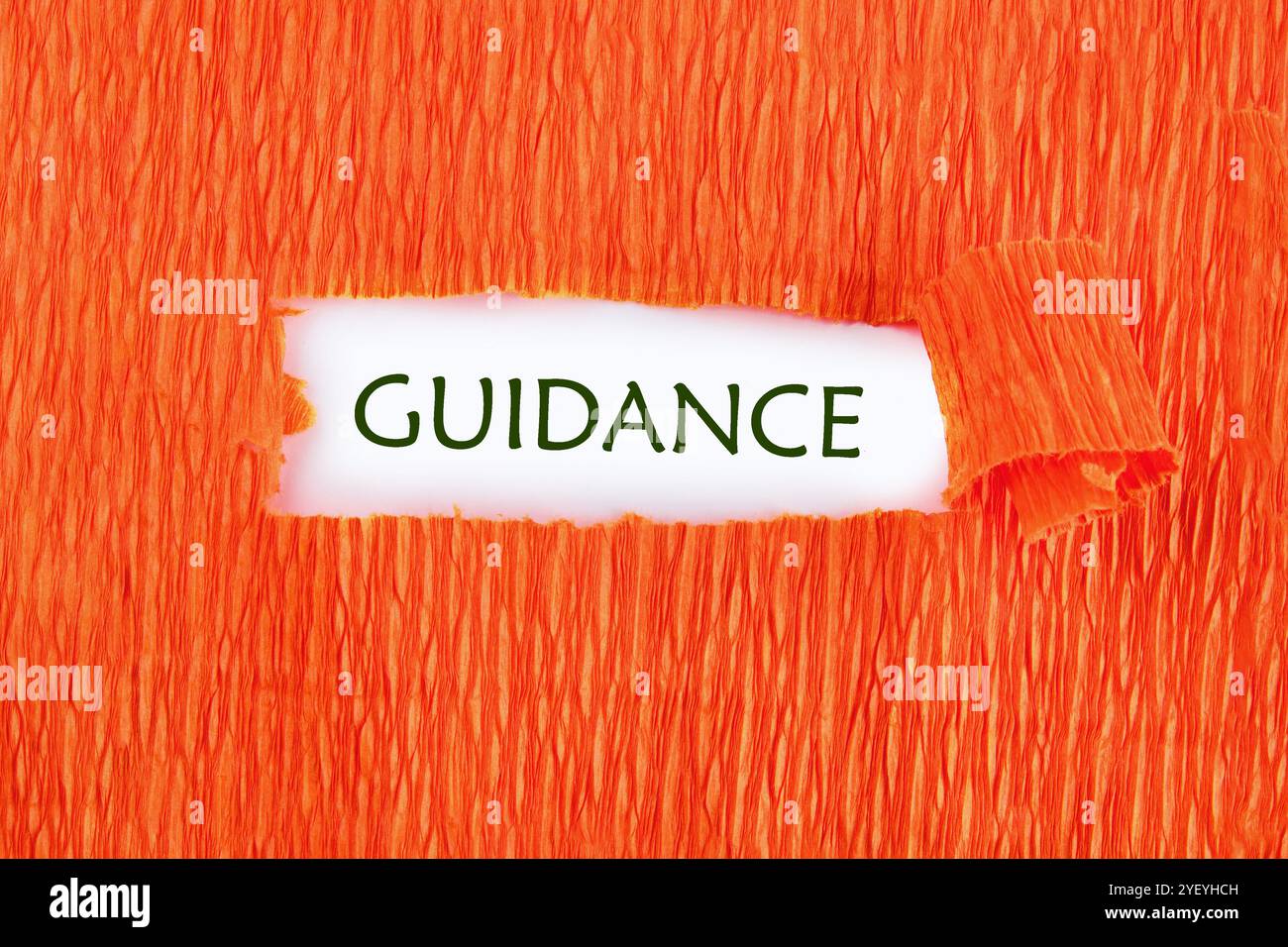 Business concept. The phrase, text, and words of GUIDANCE are written ...