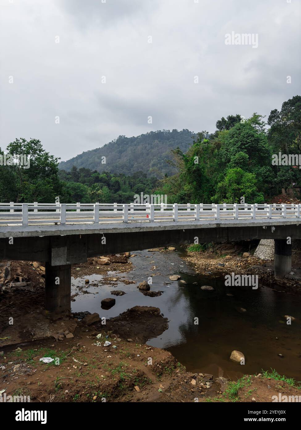 A highway bridge across the scenic Muthirapuzha River near Munnar ...