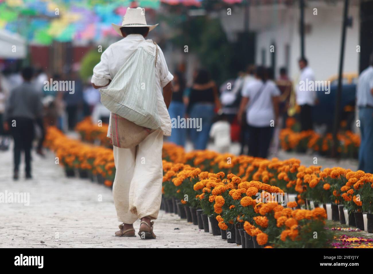 Guadalupe shrine cemetery hi-res stock photography and images - Alamy