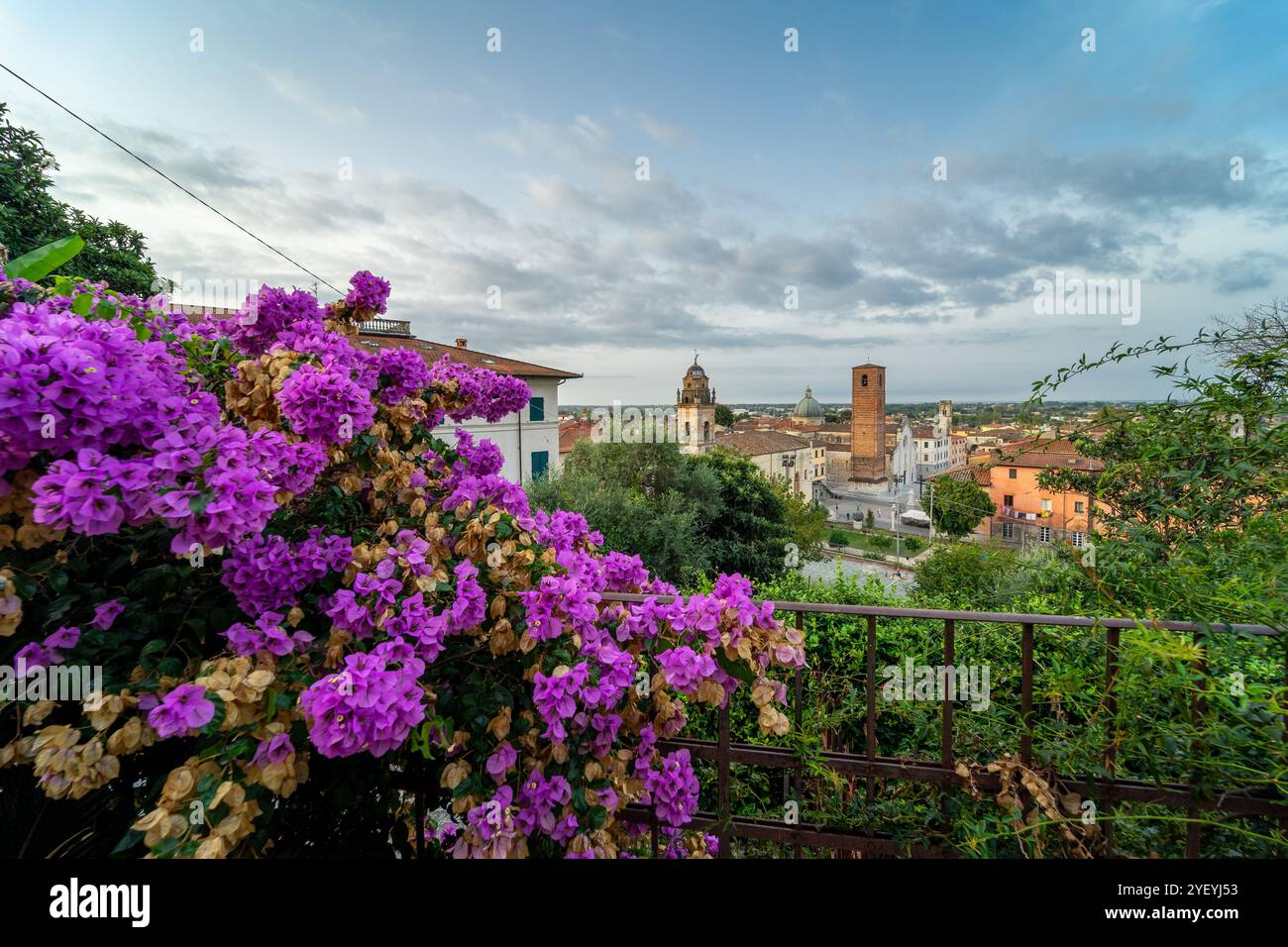 Panoramic view of the city centre of Pietrasanta, a historic town and ...