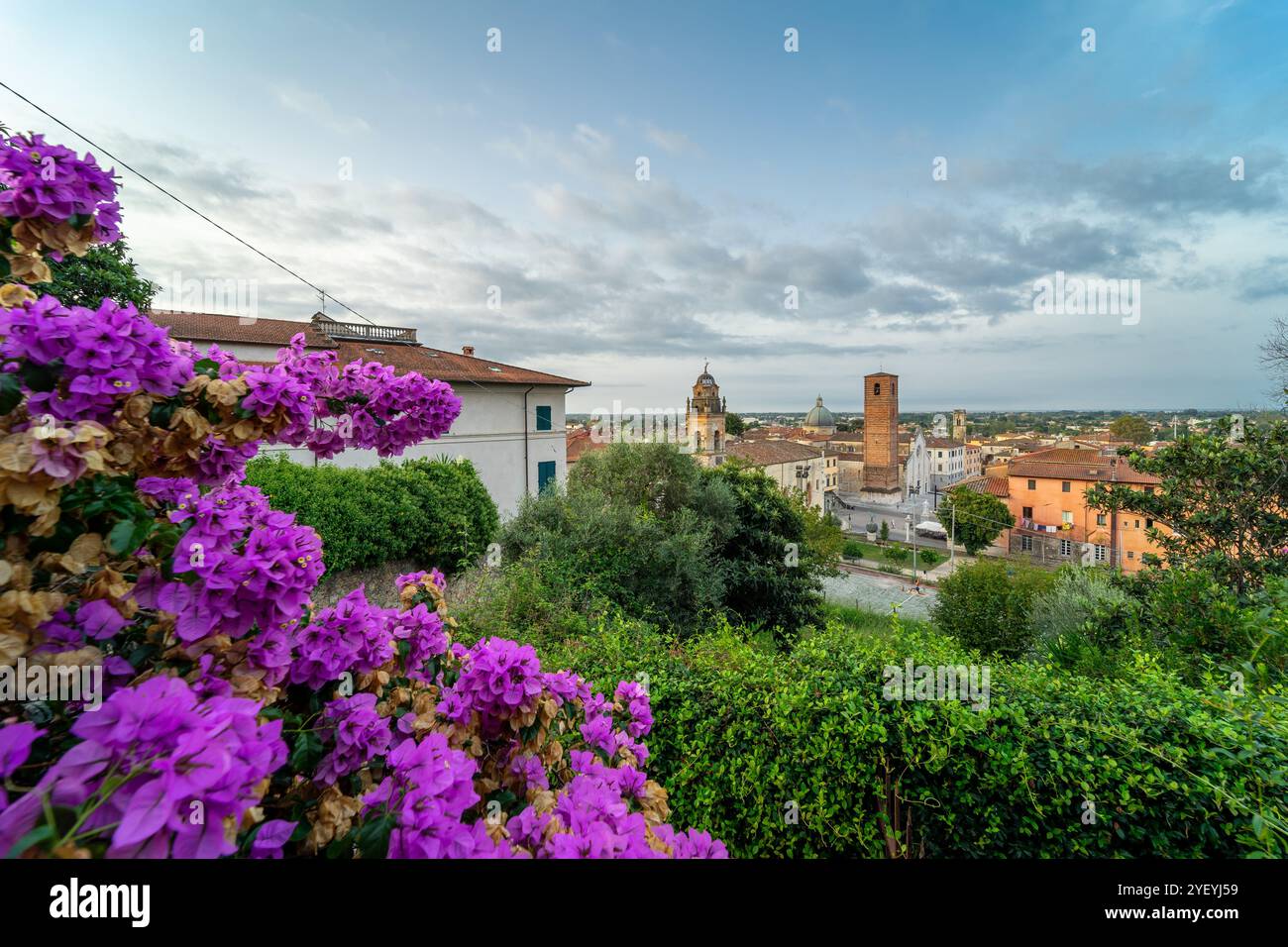 Panoramic view of the city centre of Pietrasanta, a historic town and ...