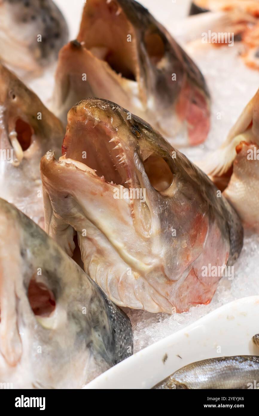 A collection of fish heads rests on ice, their mouths wide open Stock ...