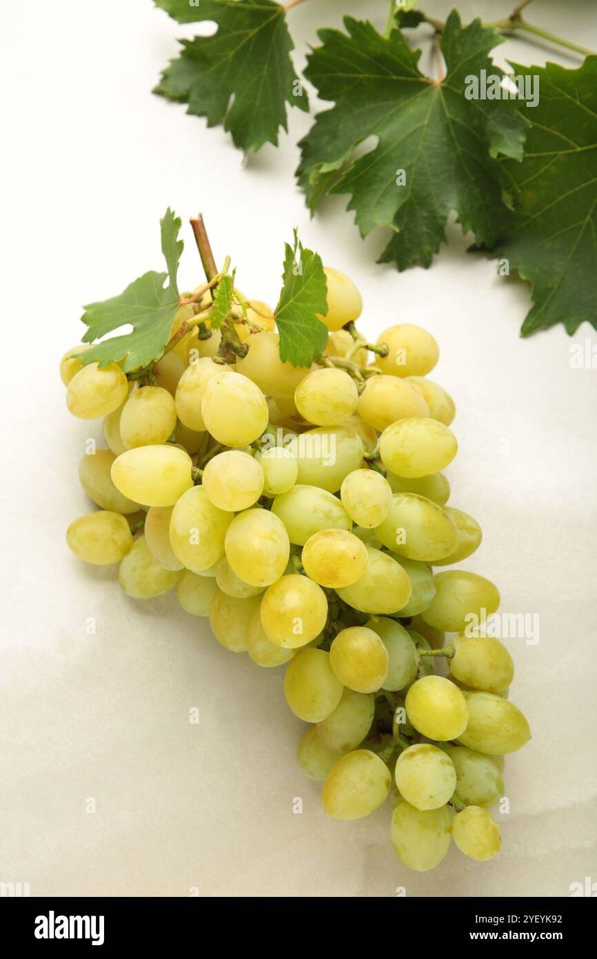 Green grape with leaves on light background. Space for text Stock Photo ...