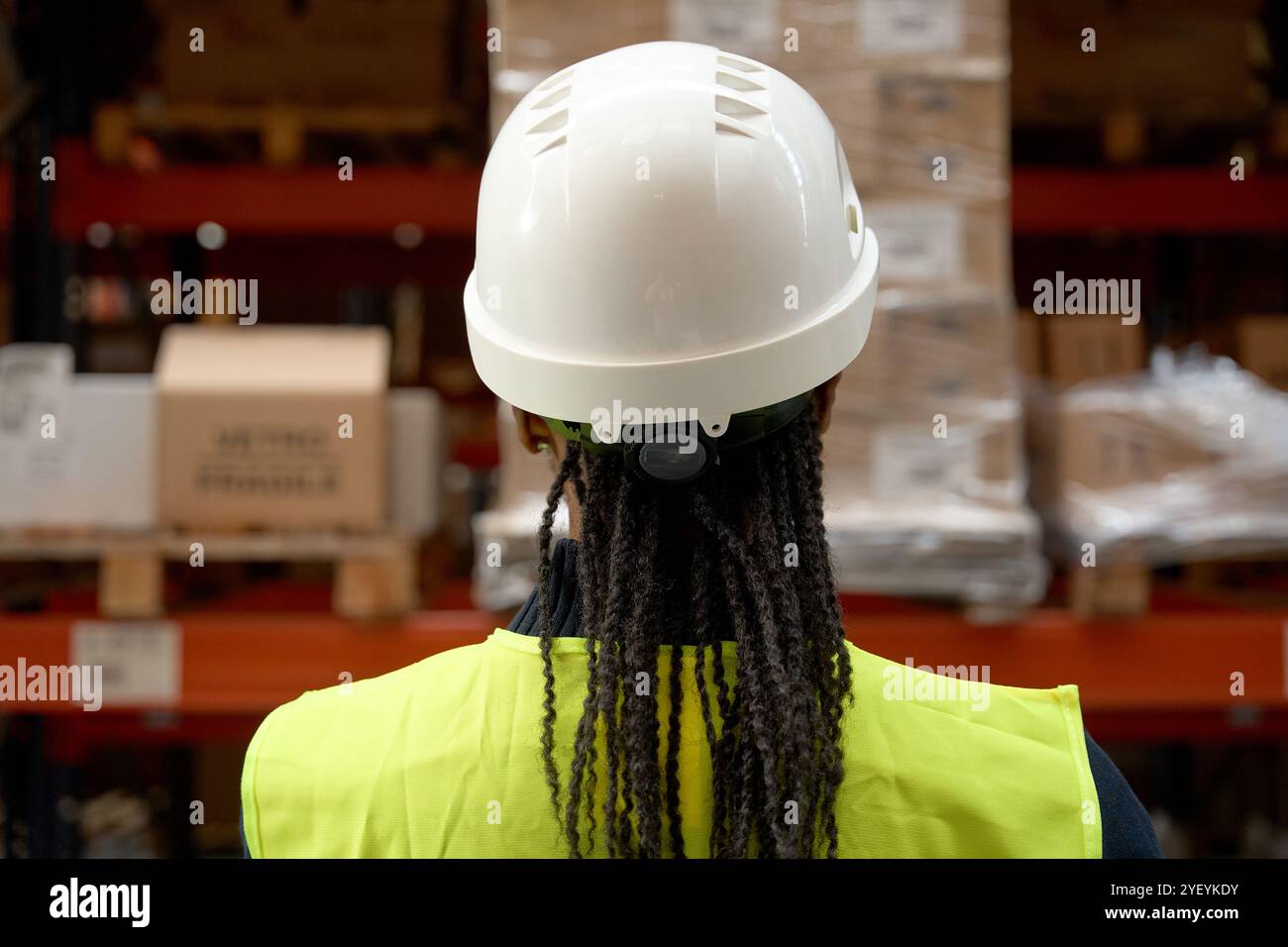Logistics operator supervising goods in warehouse: back view Stock ...