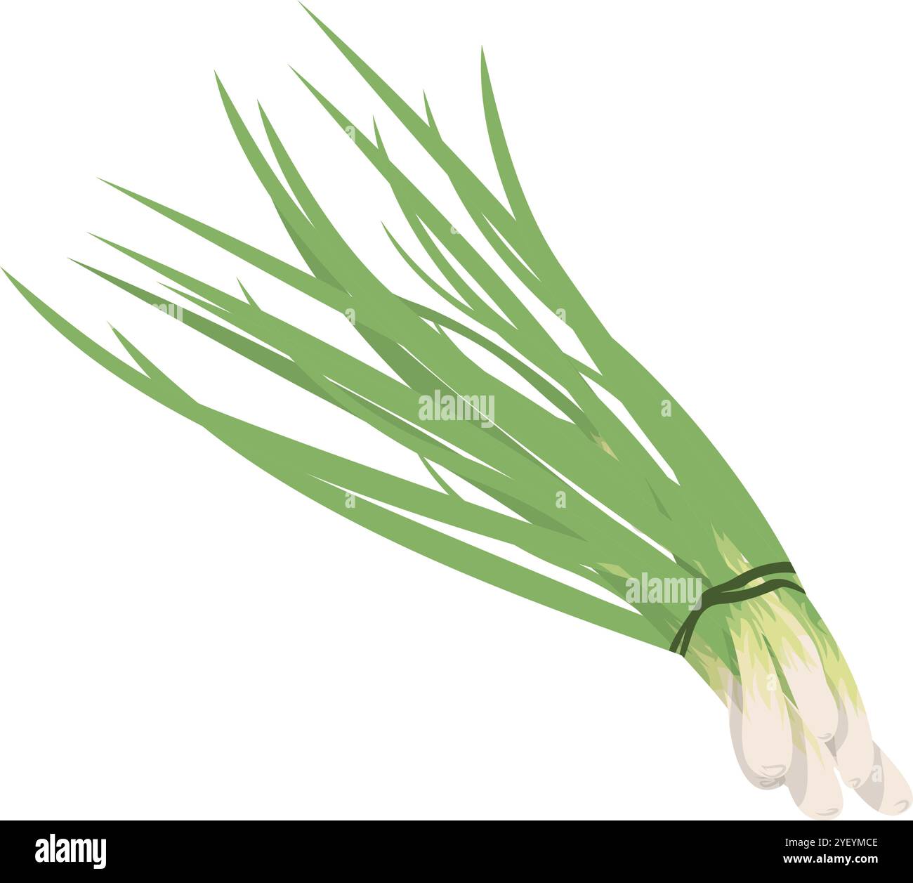 Sustainable spring Cut Out Stock Images & Pictures - Alamy