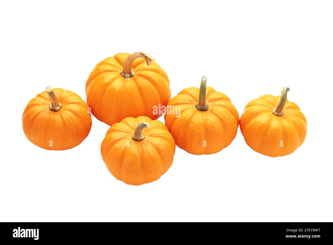Autumn harvest pumpkins on wooden Cut Out Stock Images & Pictures - Alamy