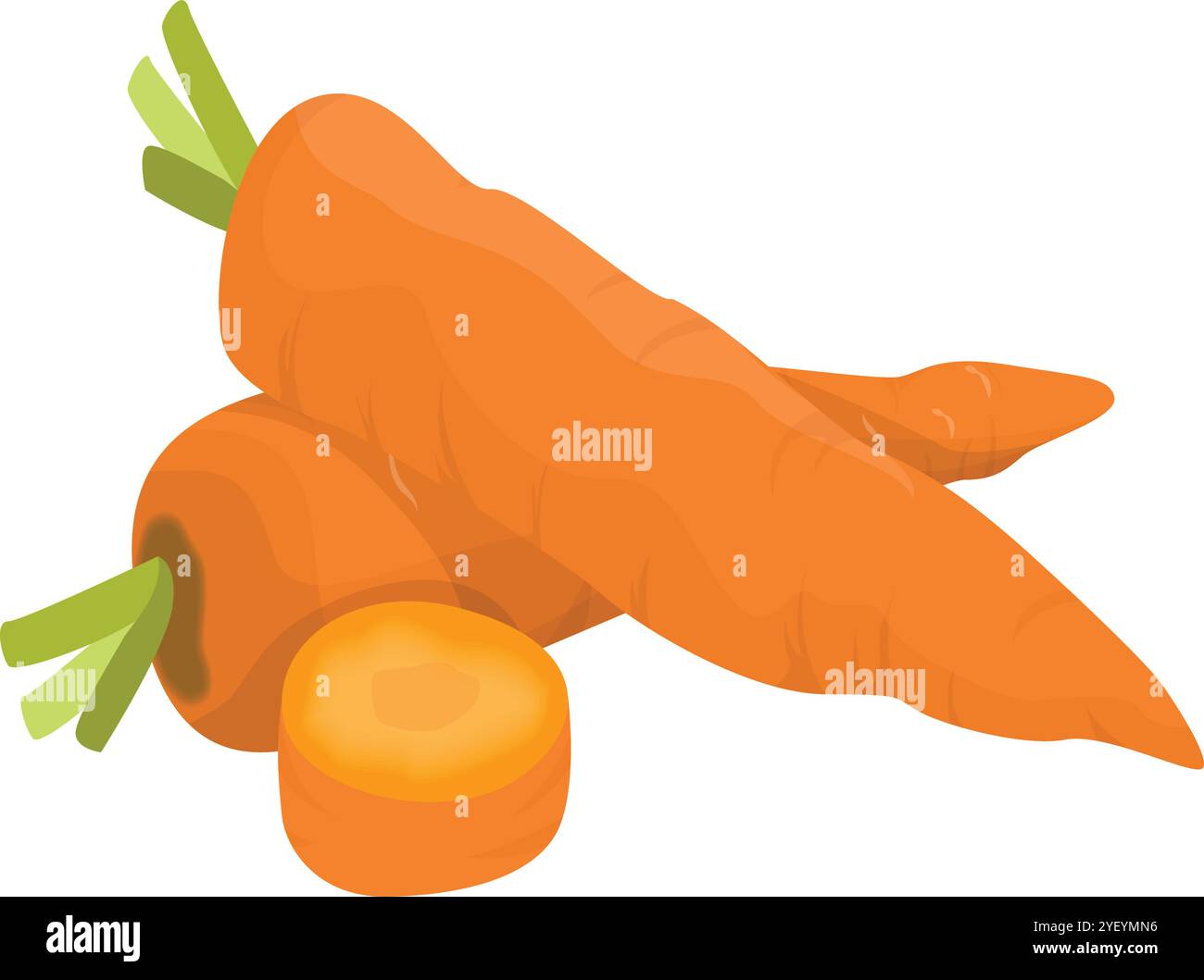 Vector Illustration of Whole and Cut Carrot in Trendy Style Stock ...