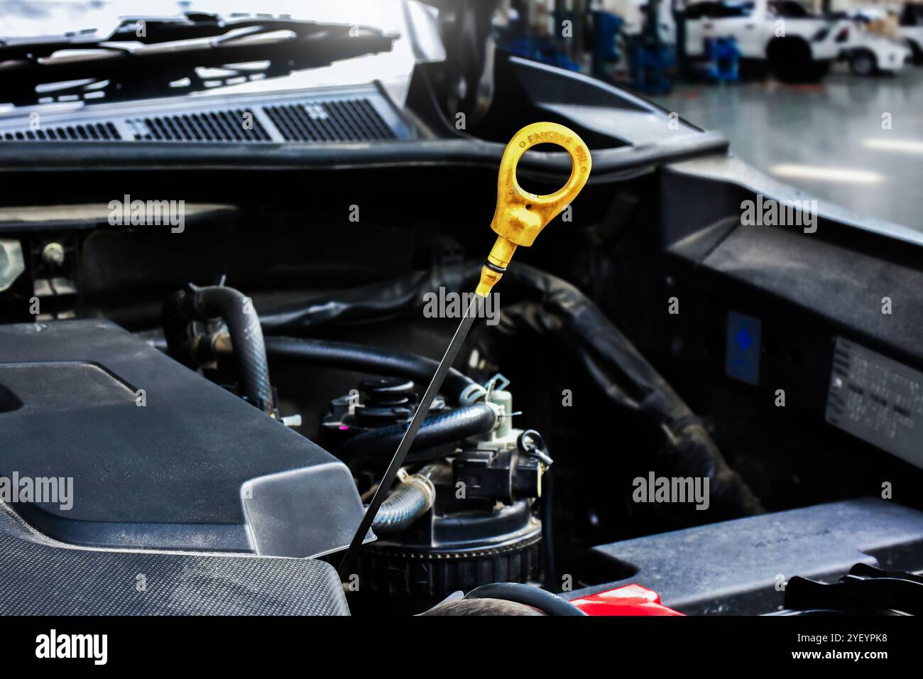 Car engine oil dipstick , car engine oil dipstick is pulled up to check the engine oil level ...