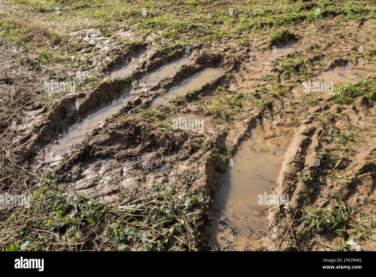 Dirty road with mud, grass and tracks between fields and fields in ...