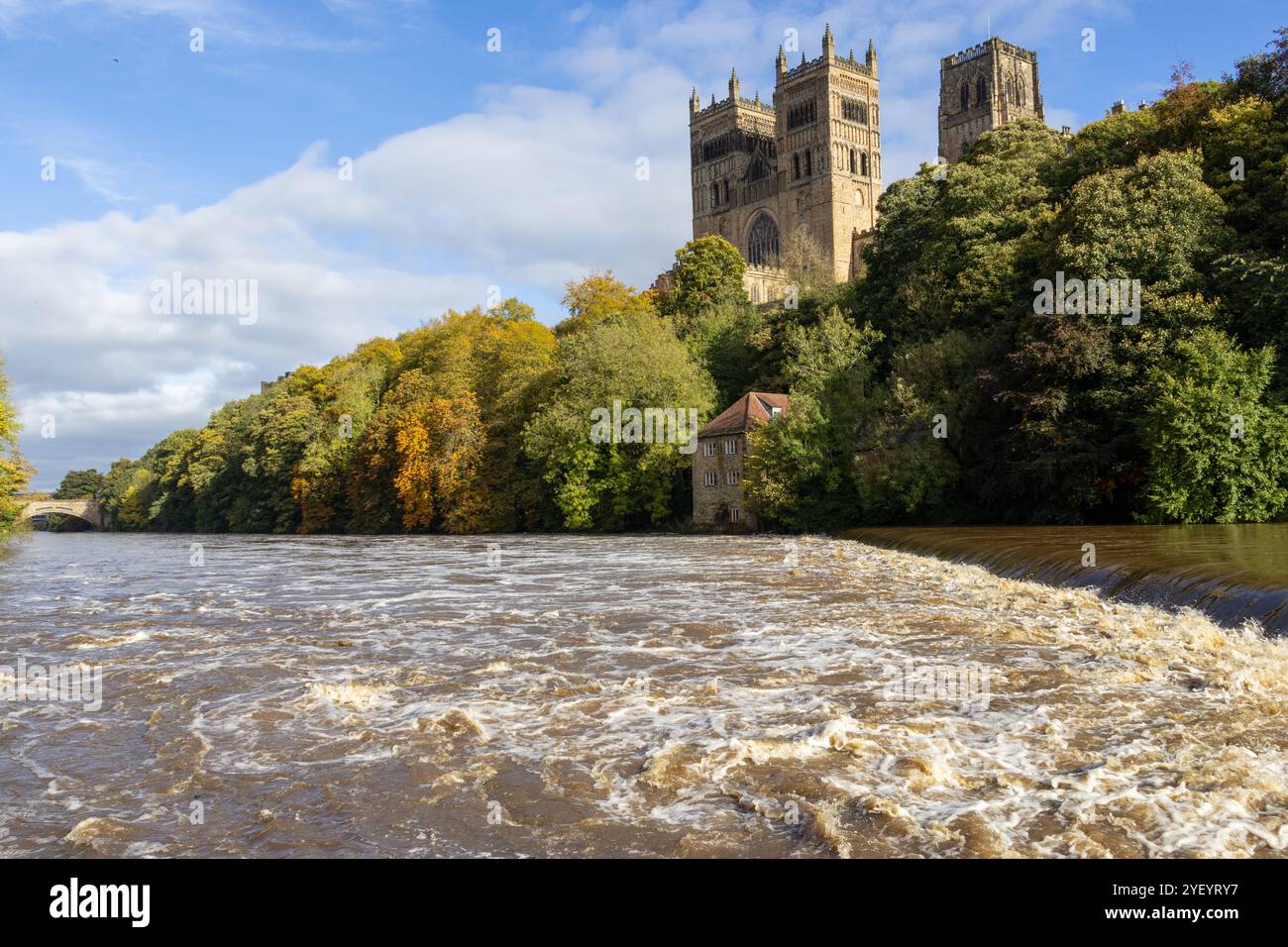 Durham Cathedral on the River Wear in autumn Stock Photo - Alamy