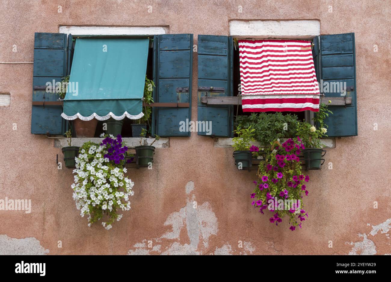 Two rustic windows with colourful flowers and blinds on a plastered ...