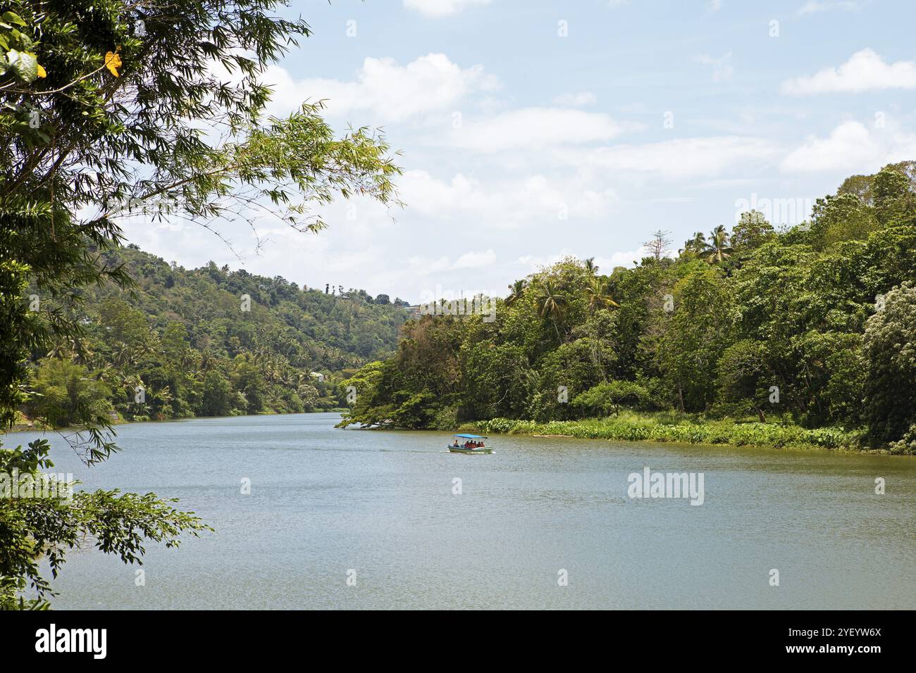 Boat and jungle landscape on the Mahaweli River, Kandy, Central ...