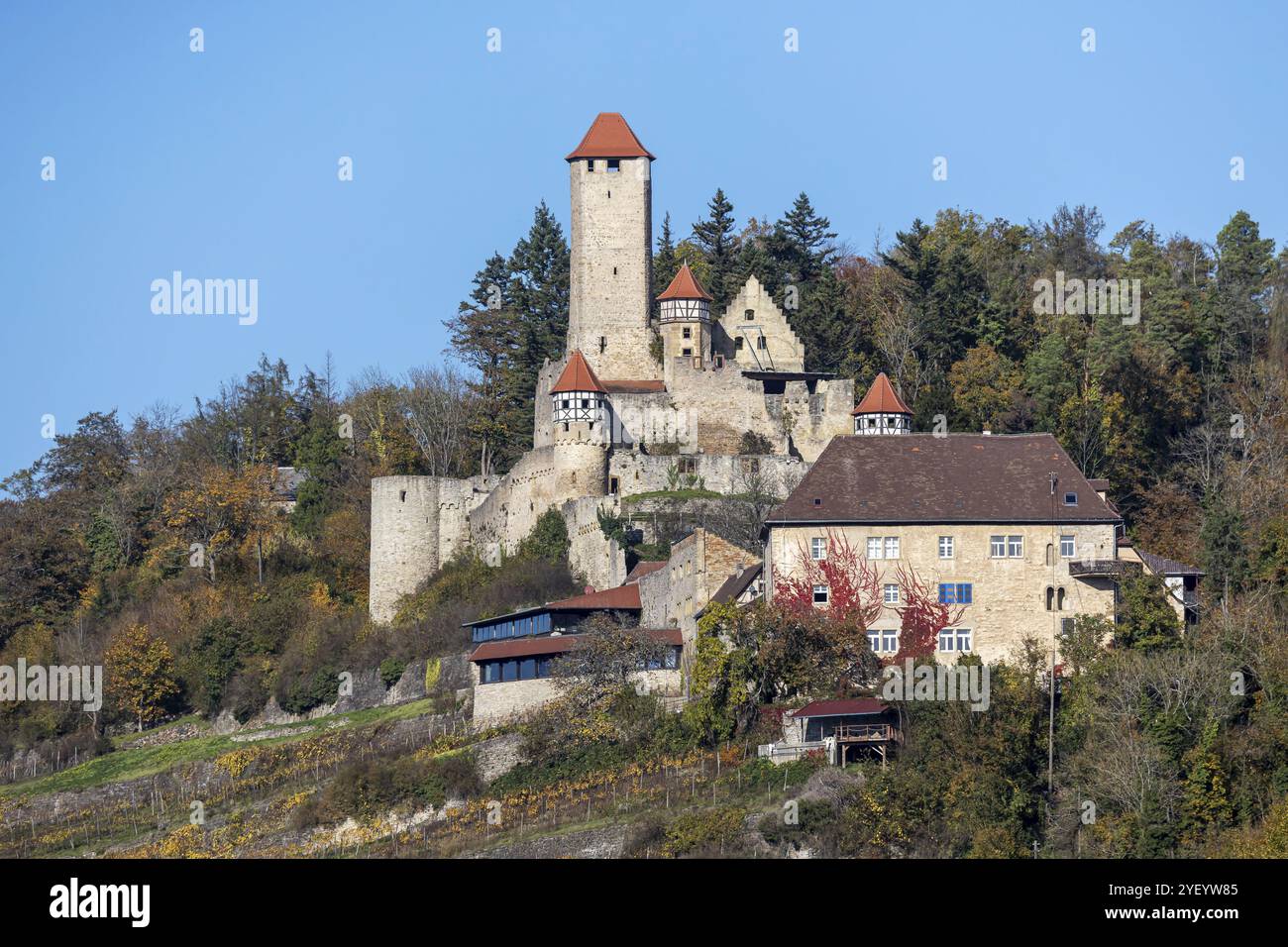 Hornberg Castle, castle of the knight Goetz von Berlichingen. Landmark ...