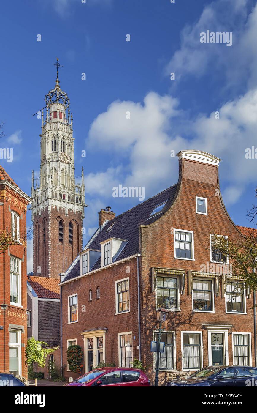 The sandstone tower of the Bakenesserkerk church in Haarlem ...