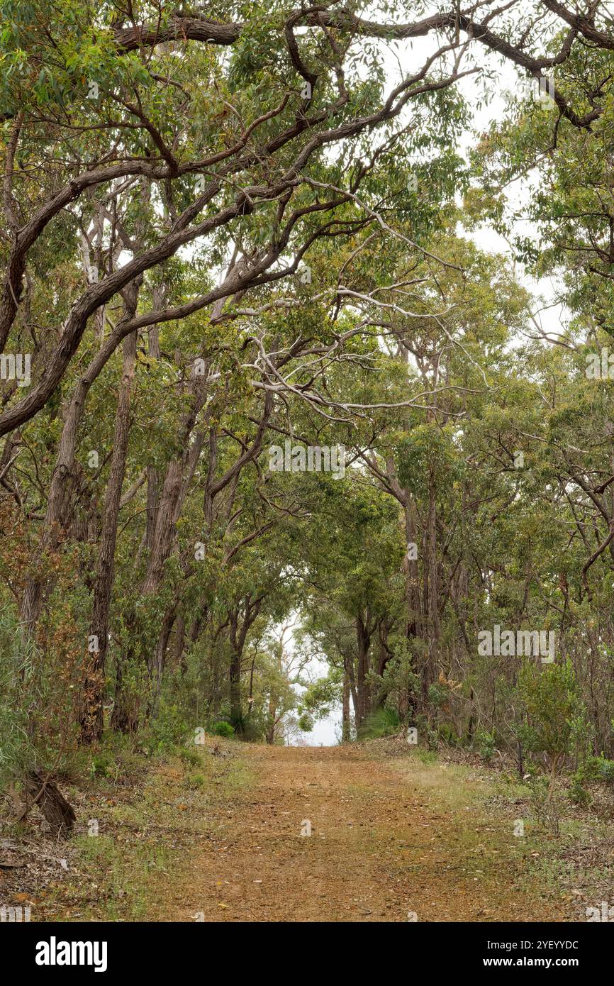John forest national park hi-res stock photography and images - Alamy