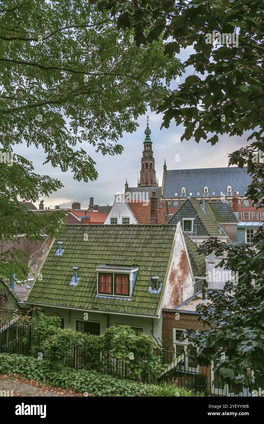 View of Leiden with city hall from hill, Netherlands Stock Photo - Alamy