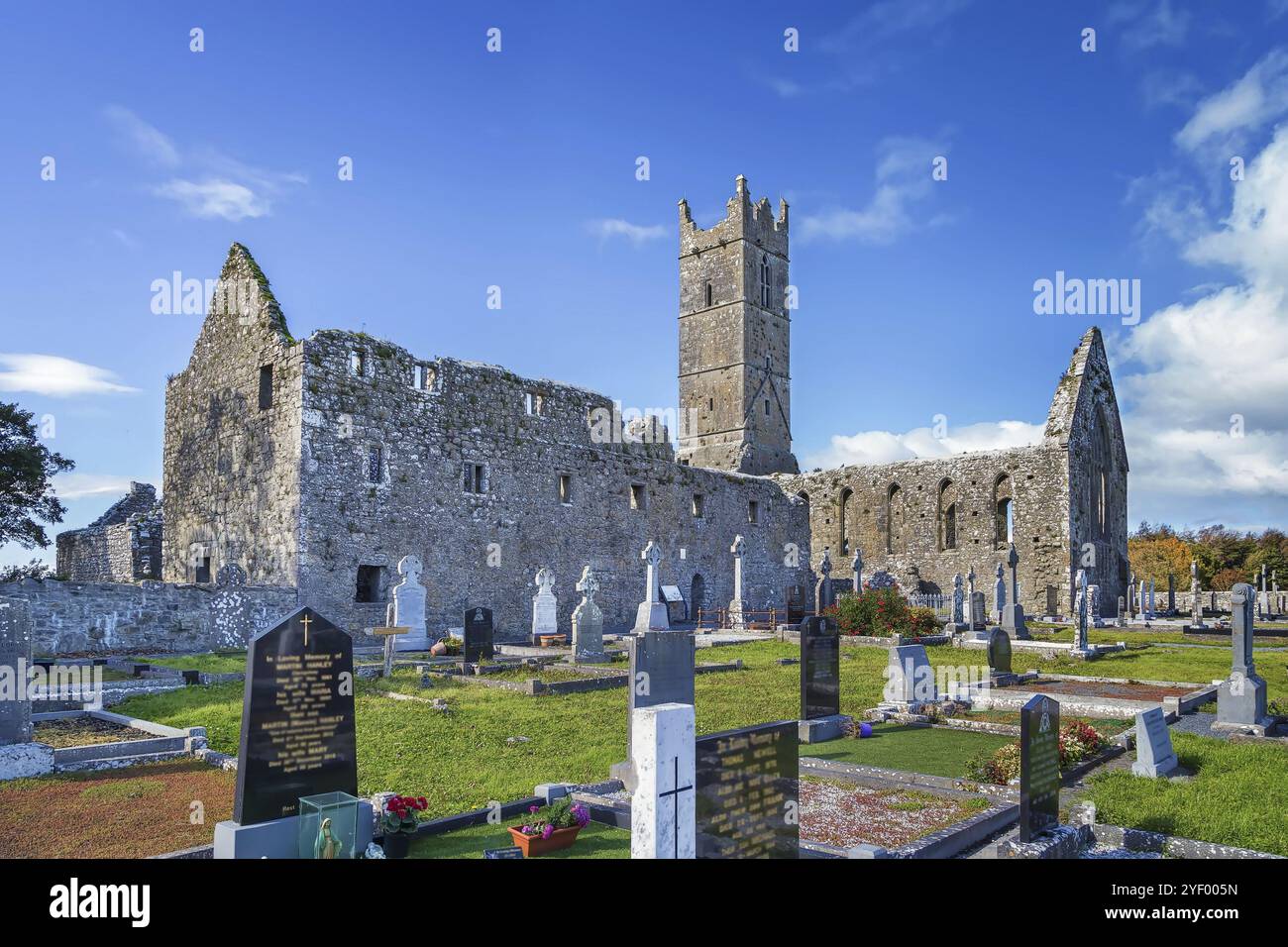 Claregalway Friary is a medieval Franciscan abbey located in the town ...