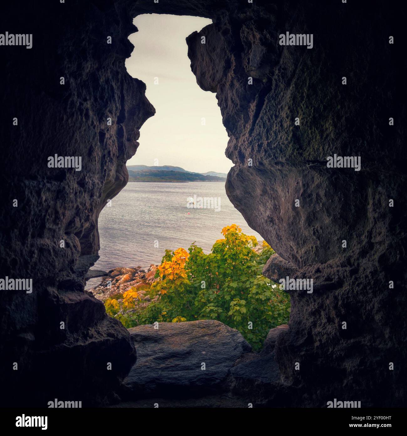 Sween hi-res stock photography and images - Alamy