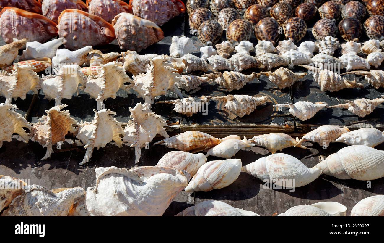 Zanzibar textures hi-res stock photography and images - Alamy