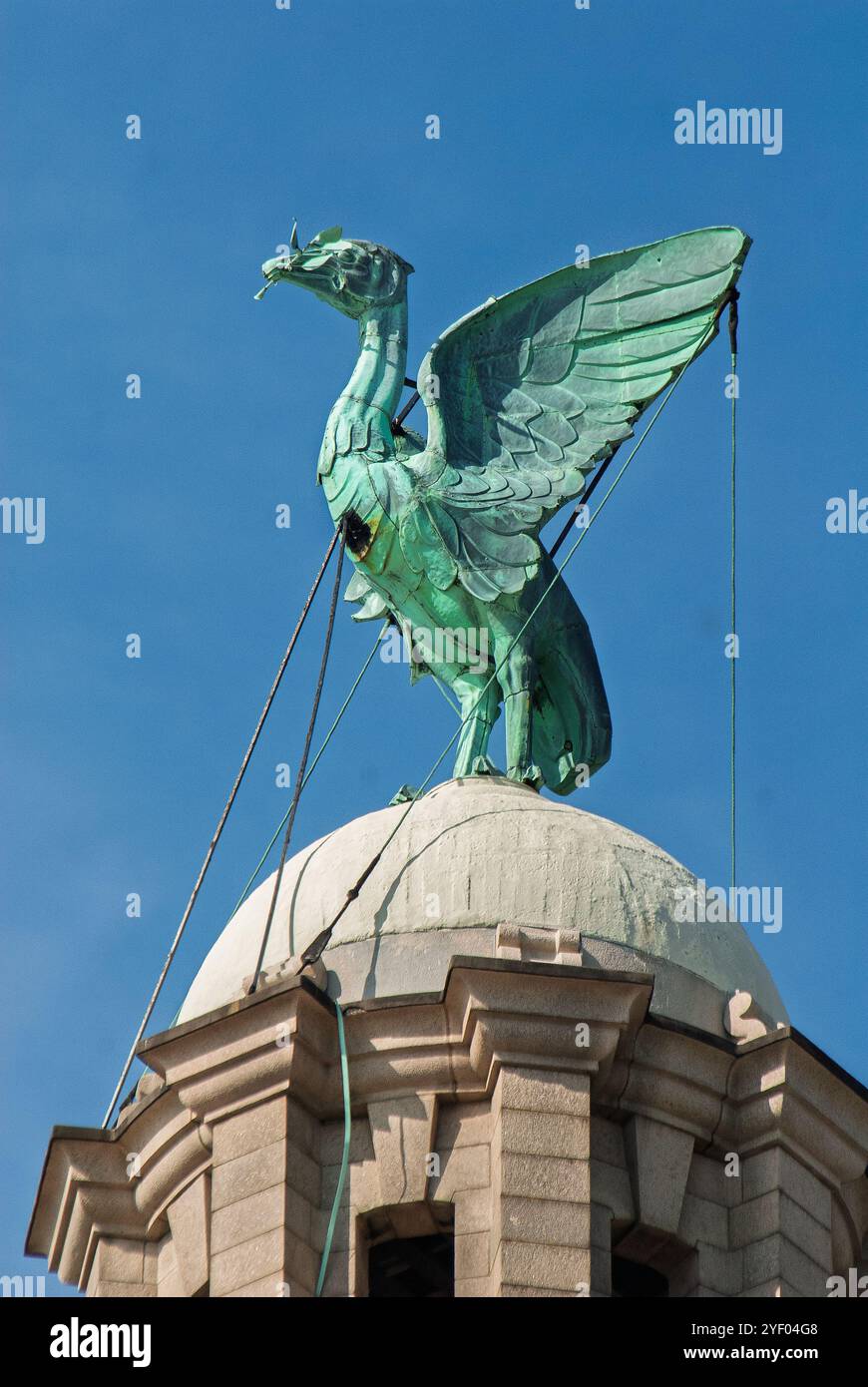 Liver bird liver building hi-res stock photography and images - Alamy