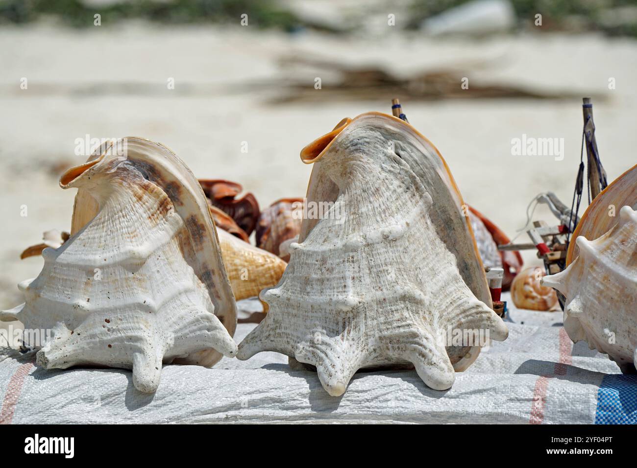 Zanzibar textures hi-res stock photography and images - Alamy