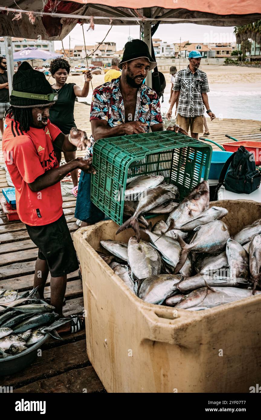 Fish crates and fishermen, Santa Maria, Sal, Cape Verde Stock Photo - Alamy