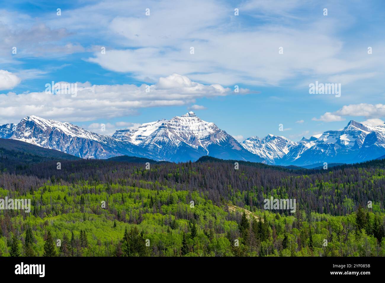Jasper National Park Canadian Rockies nature scenery. Alberta, Canada ...