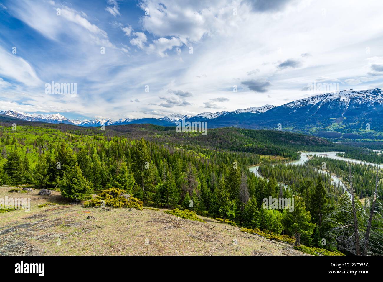 Jasper National Park Canadian Rockies nature scenery. Alberta, Canada ...