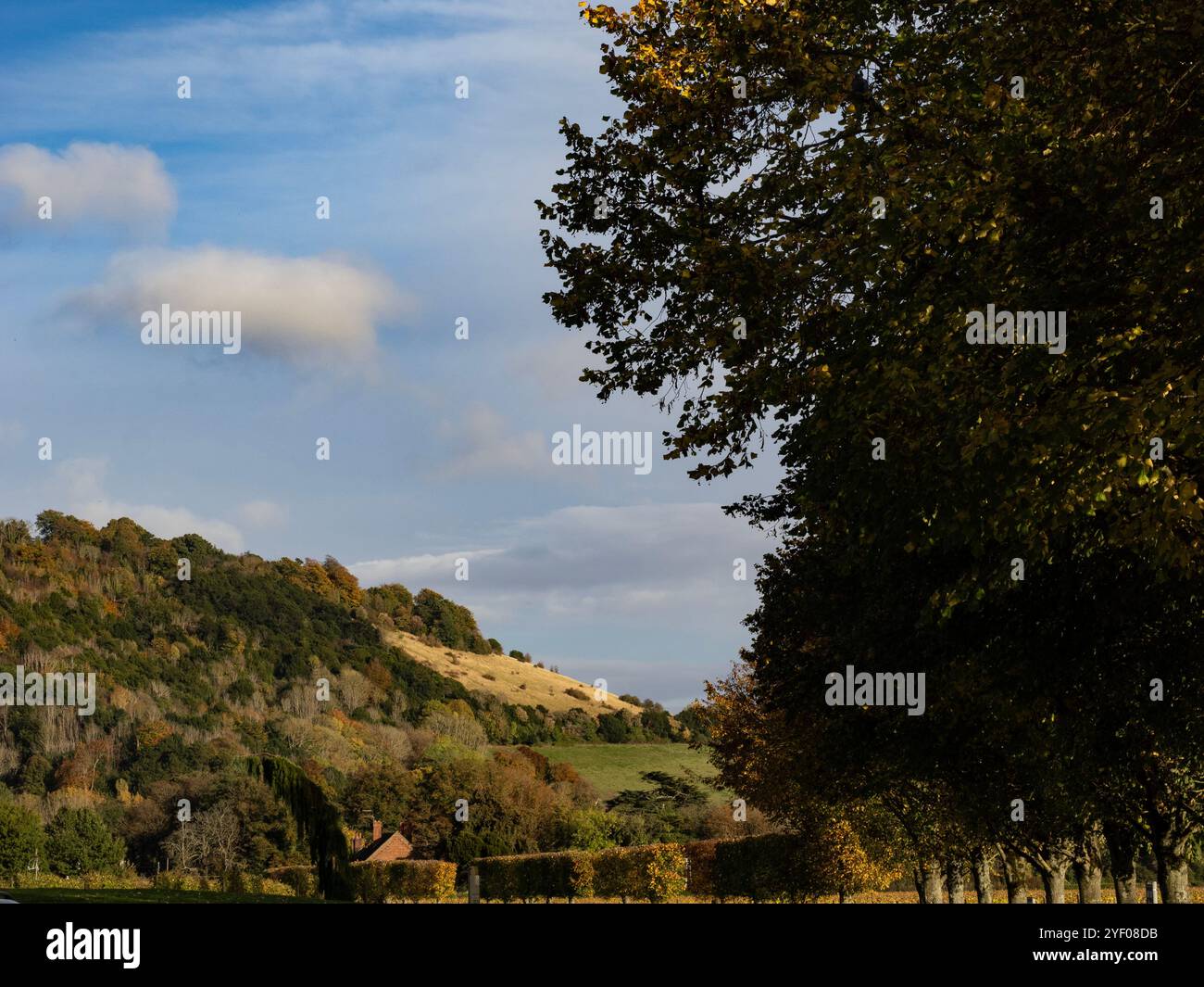 Box Hill views, Surrey, UK Stock Photo - Alamy