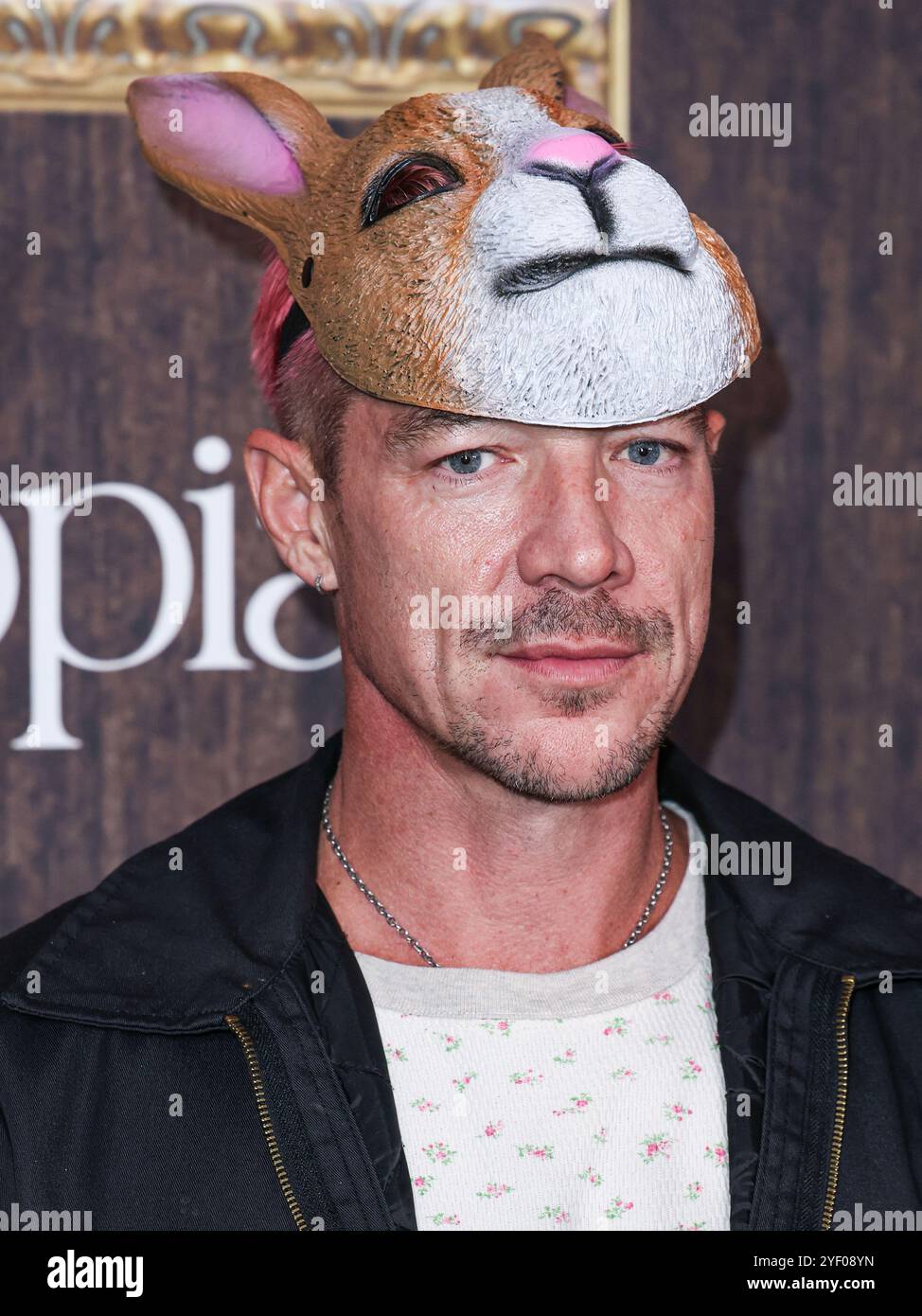 CENTURY CITY, LOS ANGELES, CALIFORNIA, USA - NOVEMBER 01: Diplo (Thomas ...