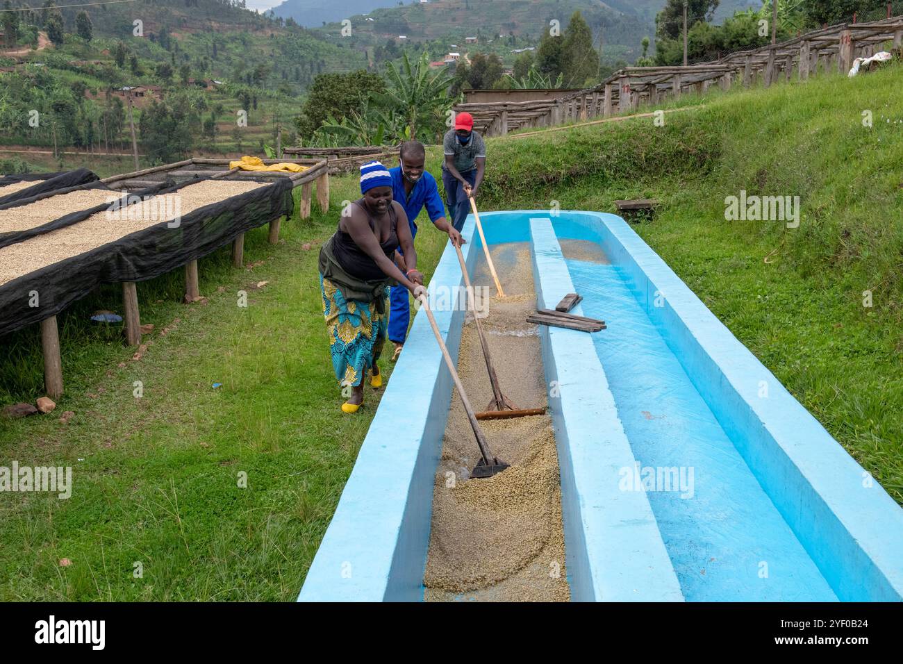 Abakundakawa coffee grower's cooperative, Minazi coffee washing station ...