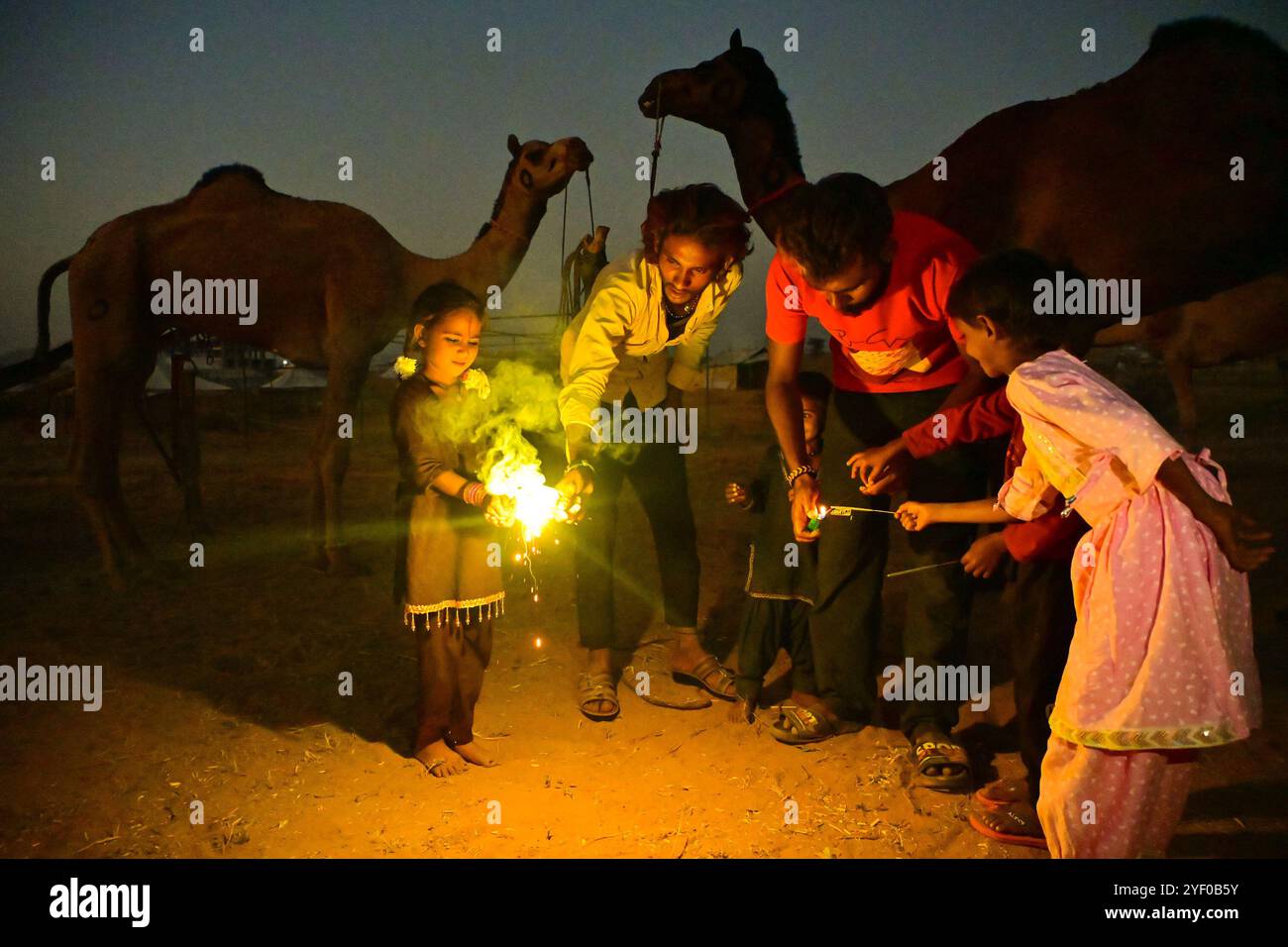 Camel herders light firecrackers as they celebrate the Diwali festival ...
