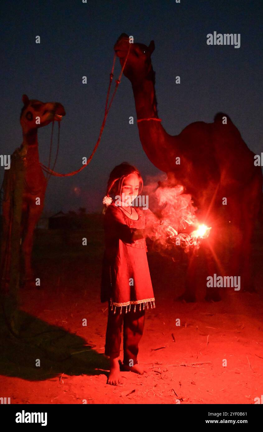 Camel herders light firecrackers as they celebrate the Diwali festival ...