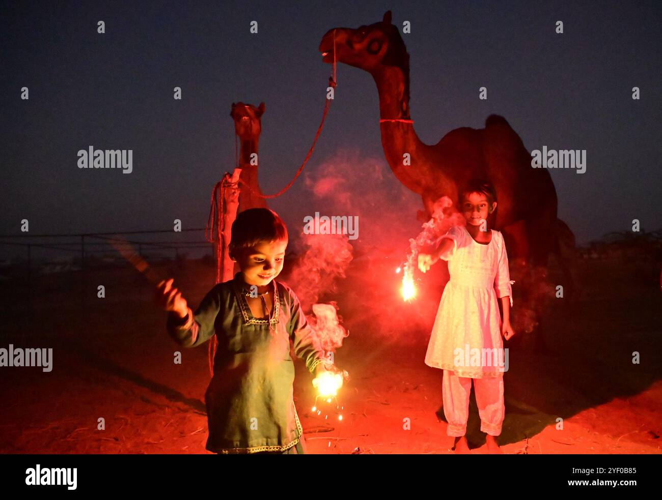 Camel herders light firecrackers as they celebrate the Diwali festival ...