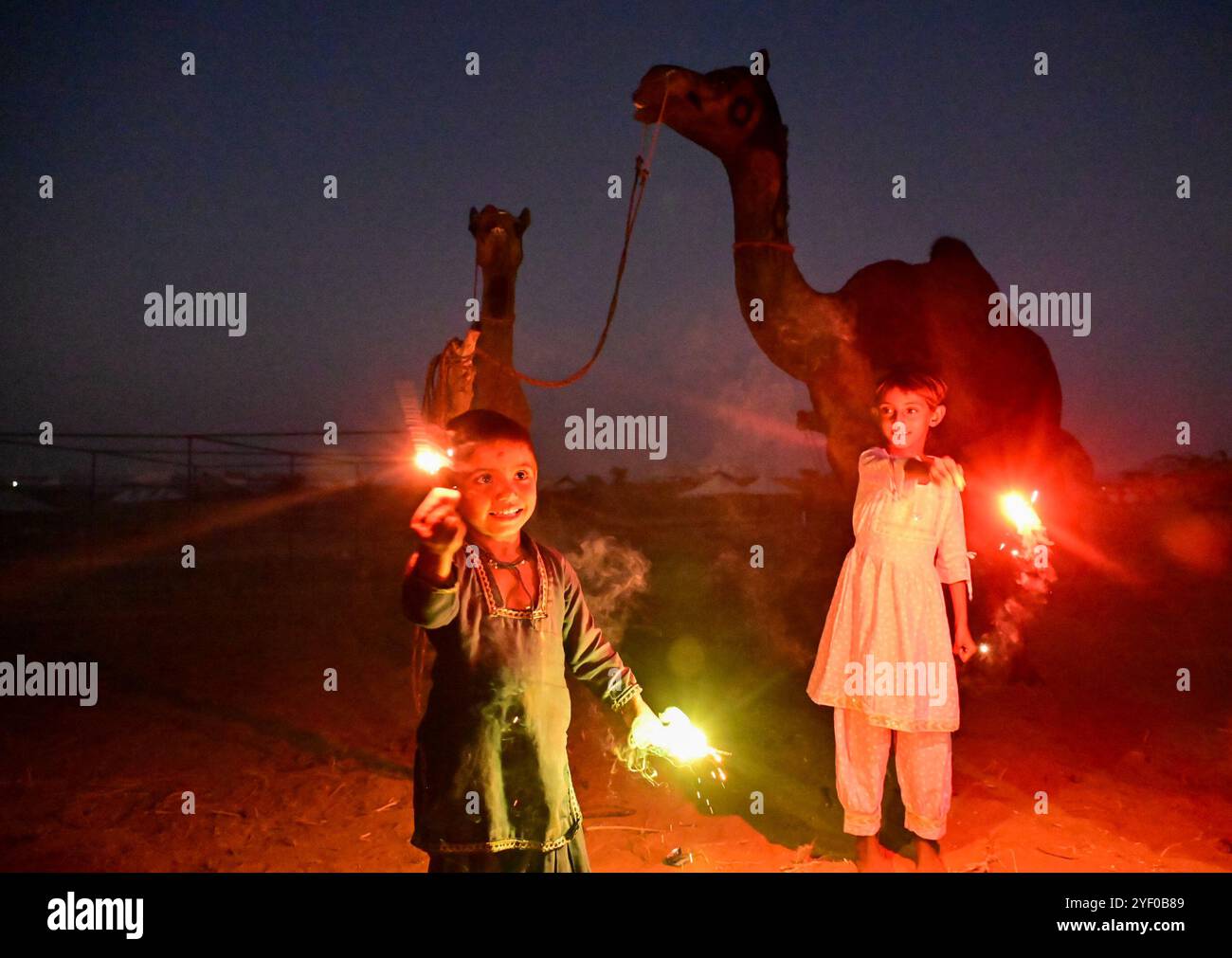 Camel herders light firecrackers as they celebrate the Diwali festival ...