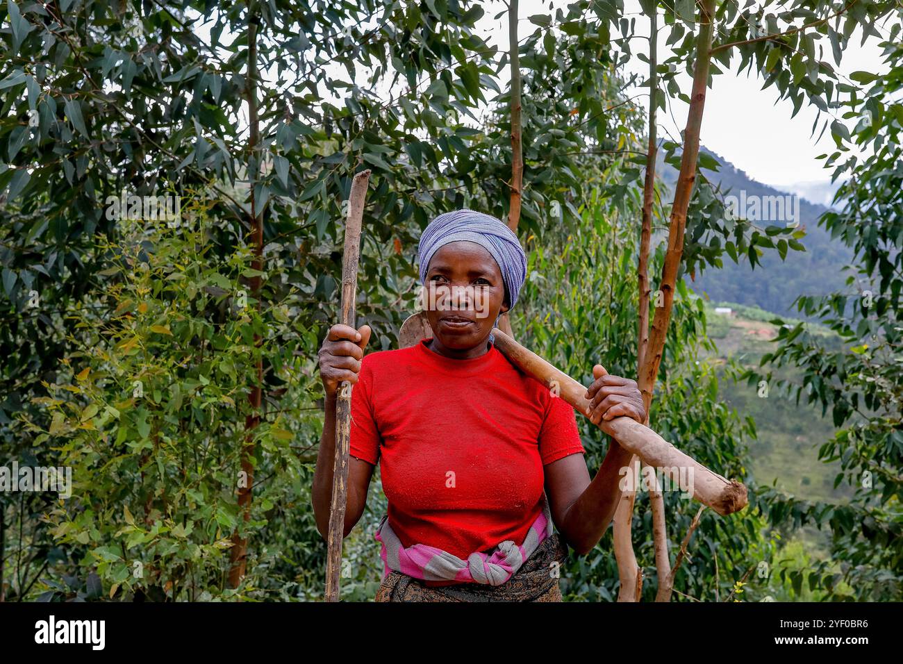 Farmer woman carrying tools in Northern Rwanda Stock Photo - Alamy