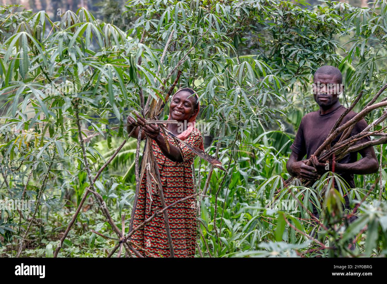 Husband and wife gathering sticks in Rutsiro district, Rwanda Stock ...
