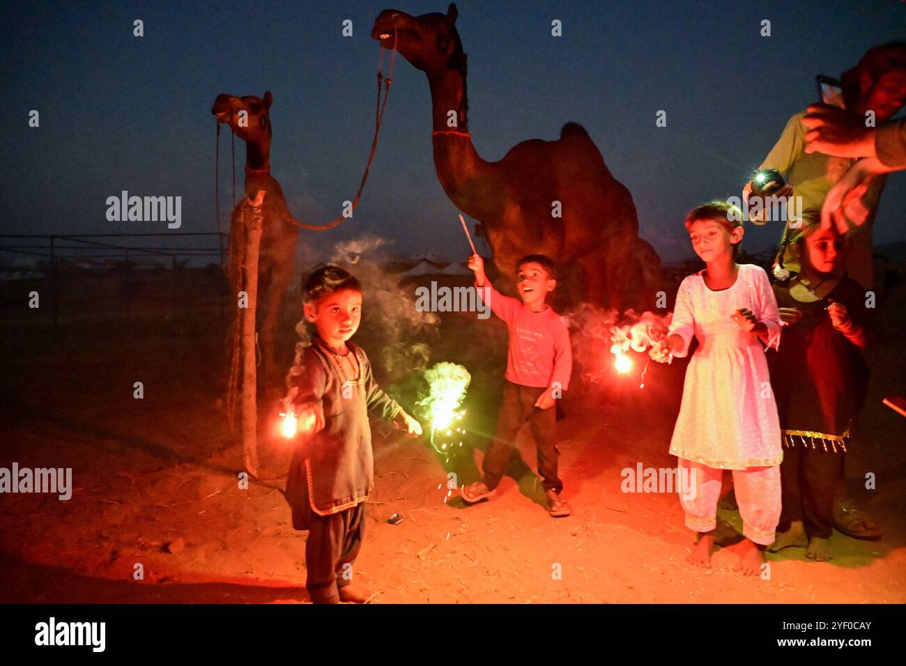 November 2, 2024, Ajmer, Rajasthan, India: Camel herders light ...