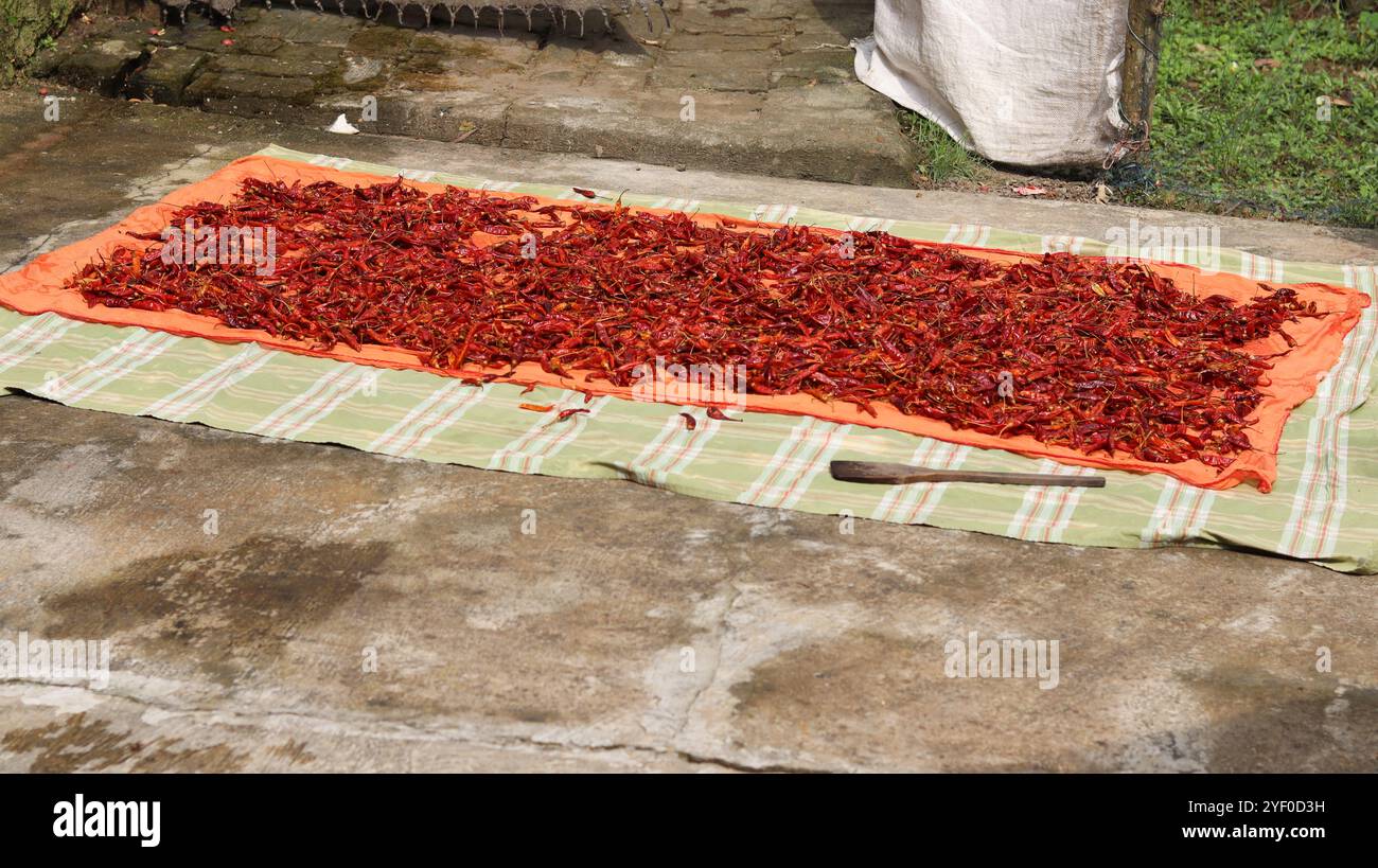 Sun drying method hi-res stock photography and images - Alamy