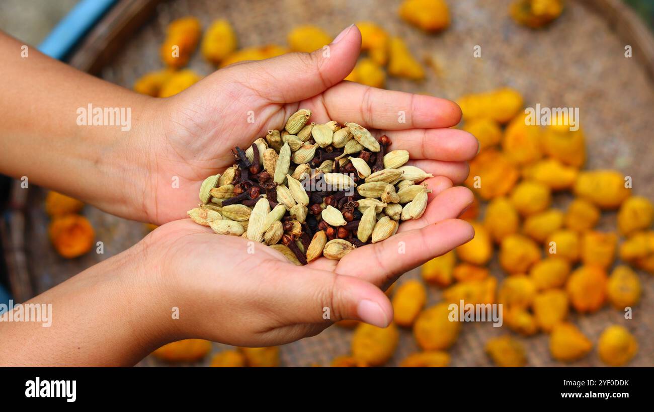 Hands Holding Assorted Spices with Aromatic Ingredients Displayed Stock ...