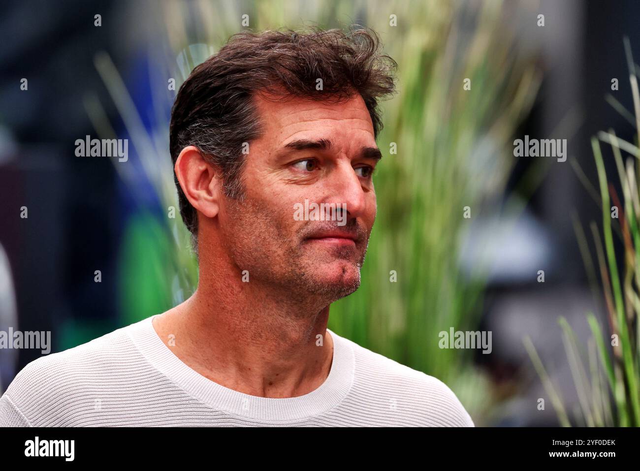 Sao Paulo, Brazil. 02nd Nov, 2024. Mark Webber (AUS) Channel 4 ...